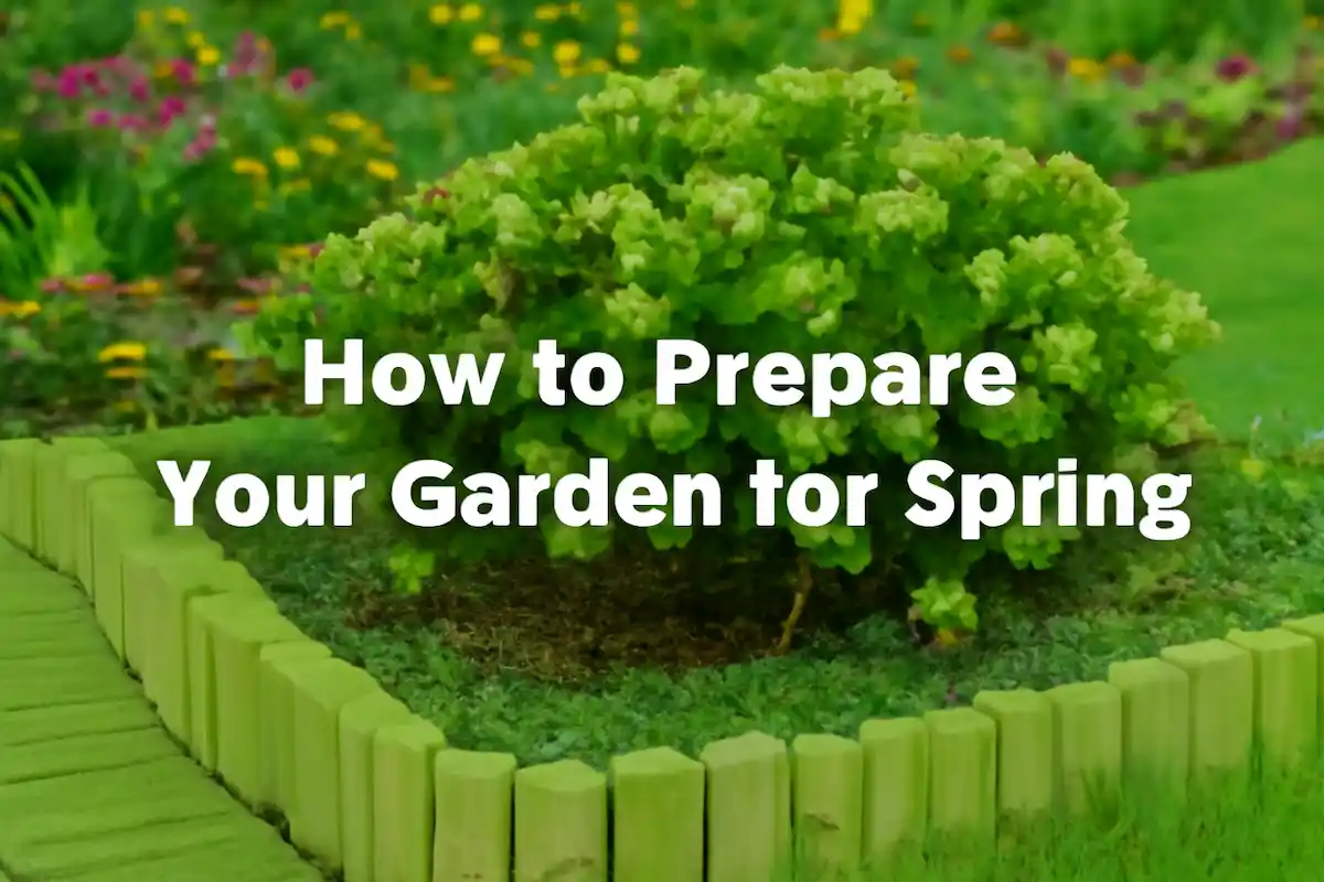 How to Prepare Your Garden for Spring