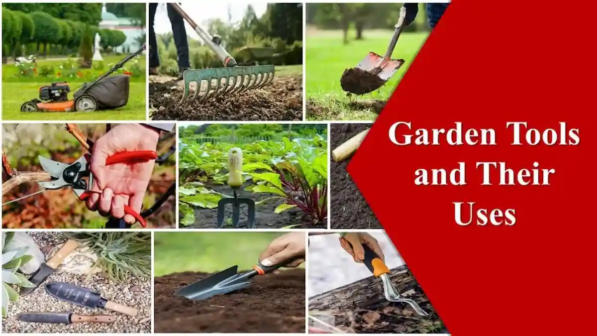 Best Gardening Tools Every Gardener Should Own